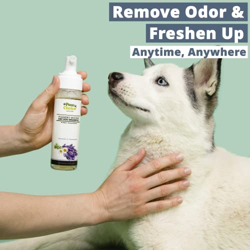 Paw Choice Dry Shampoo for Dogs - Waterless Dog Shampoo, No Rinse Foam Mousse - Removes Odor, Cleans, and Conditions - Hypoallergenic & Natural Dry Dog Shampoo - Made in USA, Lavender Chamomile Scent