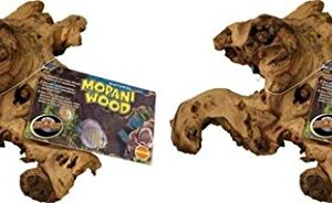 Zoo Med (2 Pack) Laboratories AZMMAS Mopani Wood, Small, 6 to 8-Inch