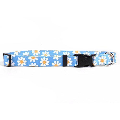 Yellow Dog Design Blue Daisy Dog Collar 3/8" Wide and Fits Neck 8 to 12", X-Small, (BDSY102)