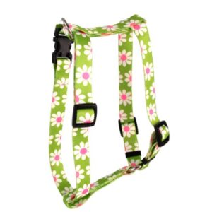 yellow dog design green daisy roman style h dog harness, small/medium