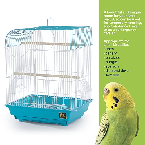 Prevue Pet Products South Beach Flat Top Bird Cage, Teal (SP50061)