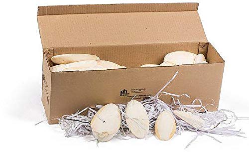 Cuttlebone Bulk 25 Count, Medium: 4 - 6 inches, for Birds, Tortoises