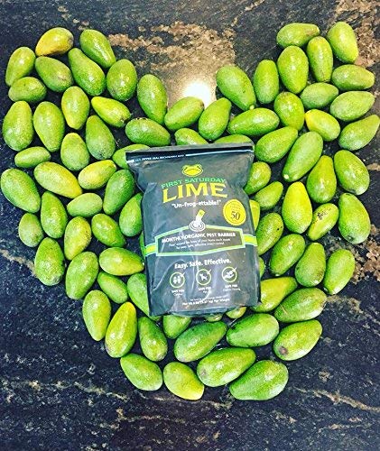 First Saturday Lime for Insects 20lb