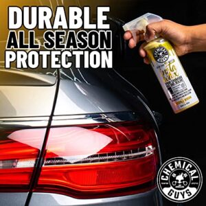 Chemical Guys WAC20964 InstaWax Liquid Carnauba Shine and Protection Spray, Safe for Cars, Trucks, SUVs, Motorcycles, RVs & More, 64 fl oz