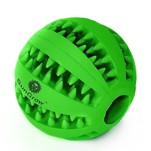 SunGrow Teething Treat Chew Ball for Rabbit, Ferret, Guinea Pig, Puppy, Kitten Tooth Clearing Puzzle Treat Dispenser, Interactive Training Ball for Oral Care & Mental Activation, Green, 2.75"