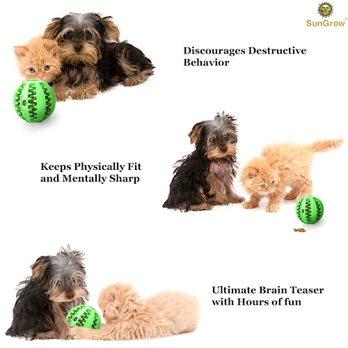 SunGrow Teething Treat Chew Ball for Rabbit, Ferret, Guinea Pig, Puppy, Kitten Tooth Clearing Puzzle Treat Dispenser, Interactive Training Ball for Oral Care & Mental Activation, Green, 2.75"