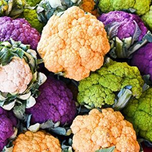 Please Read! This is A Mix!!! 50+ Cauliflower Mix Seeds Heirloom Non-GMO 4 Varieties Purple Green Yellow Delicious from USA