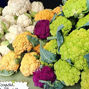 Please Read! This is A Mix!!! 50+ Cauliflower Mix Seeds Heirloom Non-GMO 4 Varieties Purple Green Yellow Delicious from USA