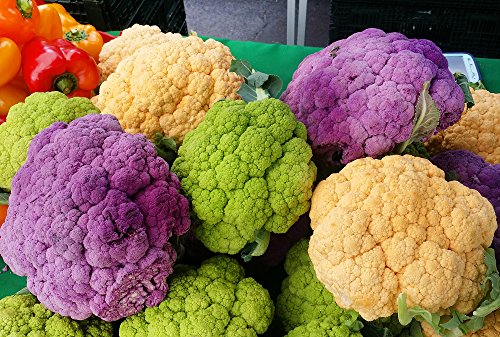 Please Read! This is A Mix!!! 50+ Cauliflower Mix Seeds Heirloom Non-GMO 4 Varieties Purple Green Yellow Delicious from USA