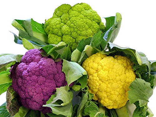 Please Read! This is A Mix!!! 50+ Cauliflower Mix Seeds Heirloom Non-GMO 4 Varieties Purple Green Yellow Delicious from USA