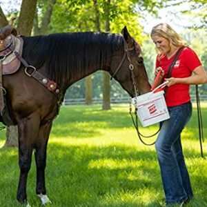 Exceed 6-Way (50lb) High Level Performance Horse Support