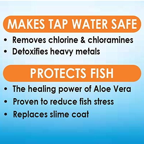 (2 Pack) API Stress Coat Fish and Tap Water Conditioner, 16-Ounce (Treats 946 Gallons) each