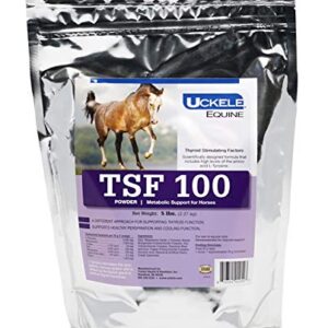 Uckele Equine TSF 100 Horse Supplement - Metabolic Support Powder for Horses - Equine Mineral Supplement - 5 Pound (lb)