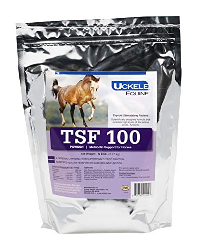 Uckele Equine TSF 100 Horse Supplement - Metabolic Support Powder for Horses - Equine Mineral Supplement - 5 Pound (lb)