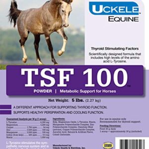 Uckele Equine TSF 100 Horse Supplement - Metabolic Support Powder for Horses - Equine Mineral Supplement - 5 Pound (lb)