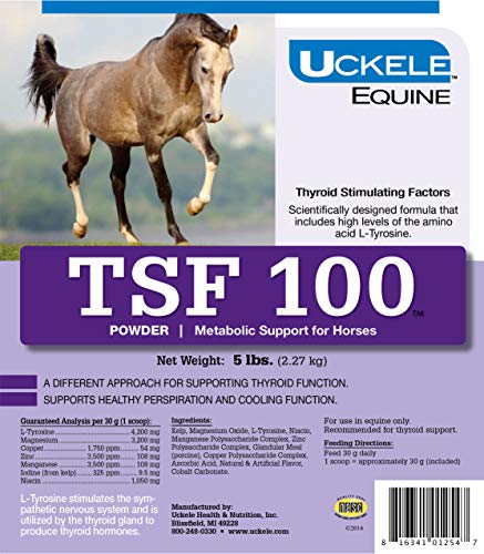 Uckele Equine TSF 100 Horse Supplement - Metabolic Support Powder for Horses - Equine Mineral Supplement - 5 Pound (lb)