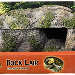 Zilla Rock Lair MD