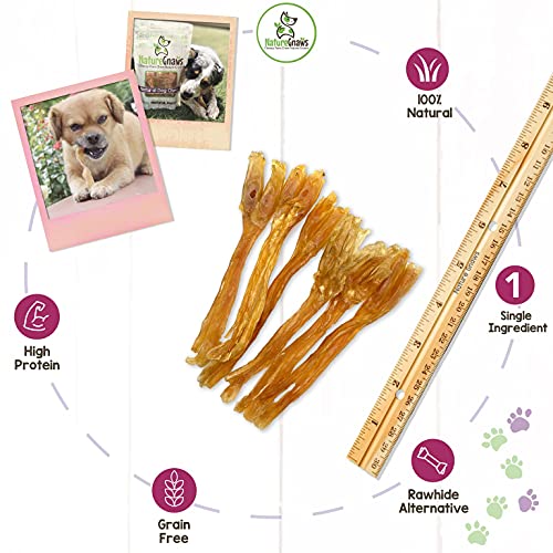 Nature Gnaws Tendons for Dogs - Premium Natural Beef Dental Sticks - Single Ingredient - Long Lasting Tasty Dog Chew Treats - Rawhide Free 12 Count (Pack of 1)