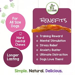 Nature Gnaws Tendons for Dogs - Premium Natural Beef Dental Sticks - Single Ingredient - Long Lasting Tasty Dog Chew Treats - Rawhide Free 12 Count (Pack of 1)