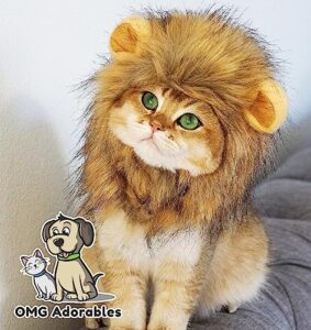 omg adorables - lion mane costume for cats