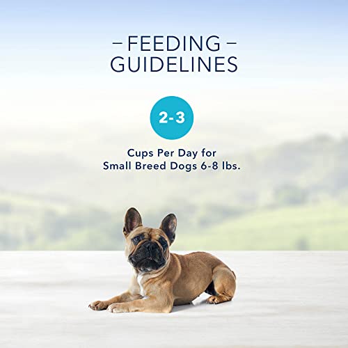 Blue Buffalo Delights Natural Adult Small Breed Wet Dog Food Cup, Roasted Chicken Flavor in Hearty Gravy 3.5-oz (Pack of 12)