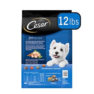 CESAR Small Breed Dry Dog Food Rotisserie Chicken Flavor with Spring Vegetables Garnish Dog Kibble, 12 lb. Bag