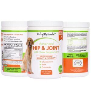 Deley Naturals Hip and Joint Support Supplement for Dogs - Advanced Arthritis Pain Relief - Chondroitin, MSM, Organic Turmeric, & Glucosamine for Dogs - Made in USA - 120 Grain Free Soft Chews