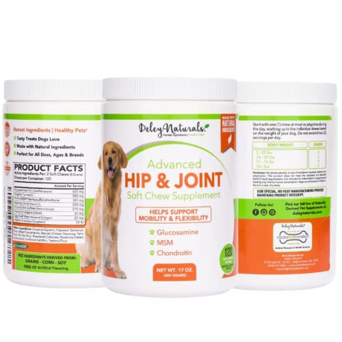 Deley Naturals Hip and Joint Support Supplement for Dogs - Advanced Arthritis Pain Relief - Chondroitin, MSM, Organic Turmeric, & Glucosamine for Dogs - Made in USA - 120 Grain Free Soft Chews