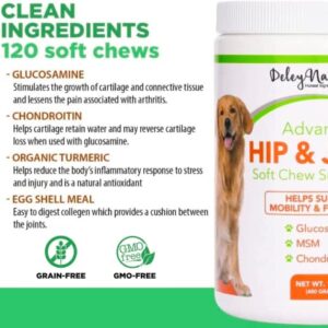 Deley Naturals Hip and Joint Support Supplement for Dogs - Advanced Arthritis Pain Relief - Chondroitin, MSM, Organic Turmeric, & Glucosamine for Dogs - Made in USA - 120 Grain Free Soft Chews