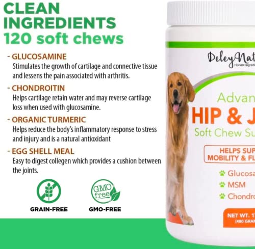 Deley Naturals Hip and Joint Support Supplement for Dogs - Advanced Arthritis Pain Relief - Chondroitin, MSM, Organic Turmeric, & Glucosamine for Dogs - Made in USA - 120 Grain Free Soft Chews