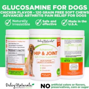 Deley Naturals Hip and Joint Support Supplement for Dogs - Advanced Arthritis Pain Relief - Chondroitin, MSM, Organic Turmeric, & Glucosamine for Dogs - Made in USA - 120 Grain Free Soft Chews