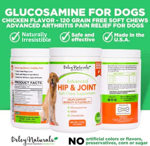 Deley Naturals Hip and Joint Support Supplement for Dogs - Advanced Arthritis Pain Relief - Chondroitin, MSM, Organic Turmeric, & Glucosamine for Dogs - Made in USA - 120 Grain Free Soft Chews