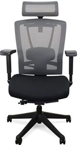 autonomous ergochair - premium ergonomic office chair - all black