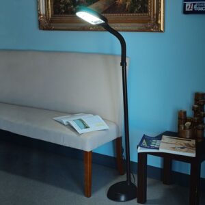 Bedford Home Sunlight Floor Lamp 5 Feet - Black