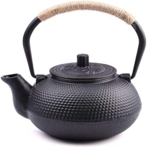 suyika japanese tetsubin cast iron teapot tea kettle pot with stainless steel infuser for stovetop safe coated with enameled interior 22 oz/650 ml