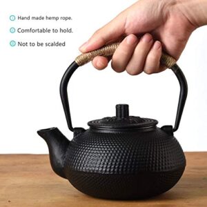 suyika Japanese Tetsubin Cast Iron Teapot Tea Kettle pot with Stainless Steel Infuser for Stovetop Safe Coated with Enameled Interior 22 oz/650 ml