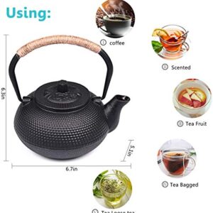 suyika Japanese Tetsubin Cast Iron Teapot Tea Kettle pot with Stainless Steel Infuser for Stovetop Safe Coated with Enameled Interior 22 oz/650 ml