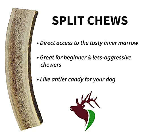 Elkhorn Premium Chews - Medium Split Single Pack (for 20-40 lb Dogs and Puppies) Premium Grade Elk Antler for Dogs (1 Piece) Sourced in The USA