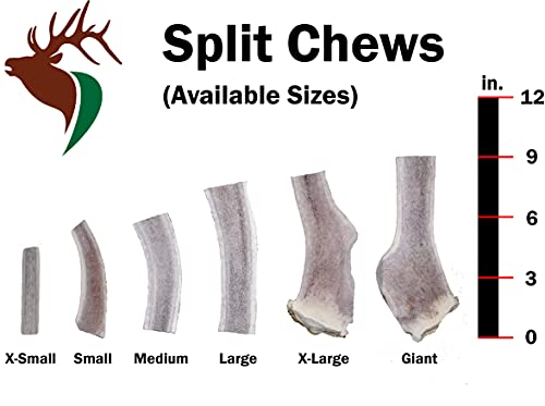 Elkhorn Premium Chews - Medium Split Single Pack (for 20-40 lb Dogs and Puppies) Premium Grade Elk Antler for Dogs (1 Piece) Sourced in The USA