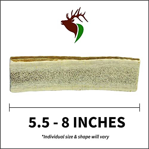 Elkhorn Premium Chews - Medium Split Single Pack (for 20-40 lb Dogs and Puppies) Premium Grade Elk Antler for Dogs (1 Piece) Sourced in The USA