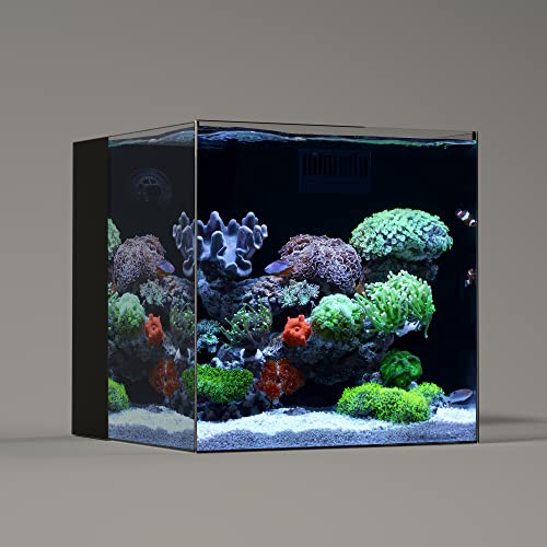 LANDEN 40C 11 Gallon Ultra Clear Glass Rimless Low Iron Aquarium Tank with Rear Filtration Chamber(Return Pump Included) for Salt and Fresh Water,15.8Wx15.8D×15.8H in(40x40x40cm) 6mm Thickness