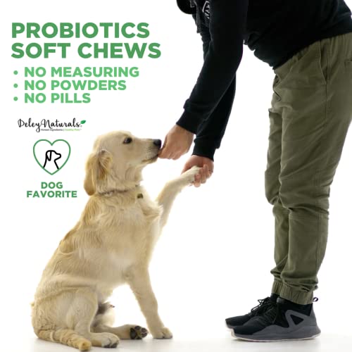 Deley Naturals Probiotics for Dogs - 120 Grain Free Chicken Soft Chews - 4 Billion CFU's, Digestive Enzymes, Prebiotics - Dog Allergies, Diarrhea, Bad Dog Breath, Constipation, Gas, Yeast- Made in USA