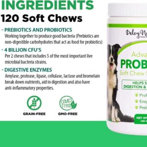 Deley Naturals Probiotics for Dogs - 120 Grain Free Chicken Soft Chews - 4 Billion CFU's, Digestive Enzymes, Prebiotics - Dog Allergies, Diarrhea, Bad Dog Breath, Constipation, Gas, Yeast- Made in USA