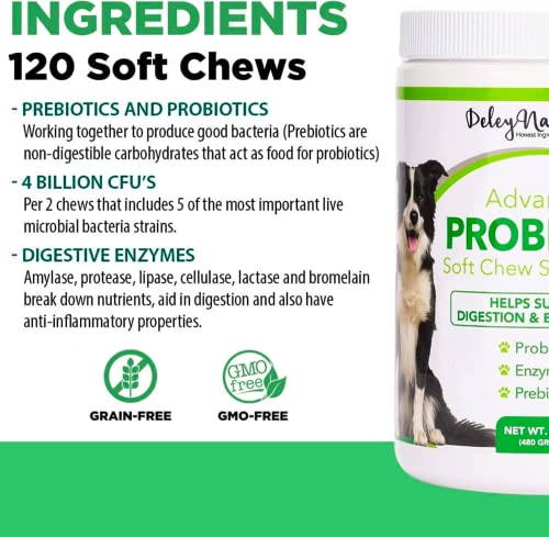 Deley Naturals Probiotics for Dogs - 120 Grain Free Chicken Soft Chews - 4 Billion CFU's, Digestive Enzymes, Prebiotics - Dog Allergies, Diarrhea, Bad Dog Breath, Constipation, Gas, Yeast- Made in USA