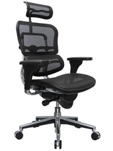 eurotech seating ergohuman high back mesh managers chair, black