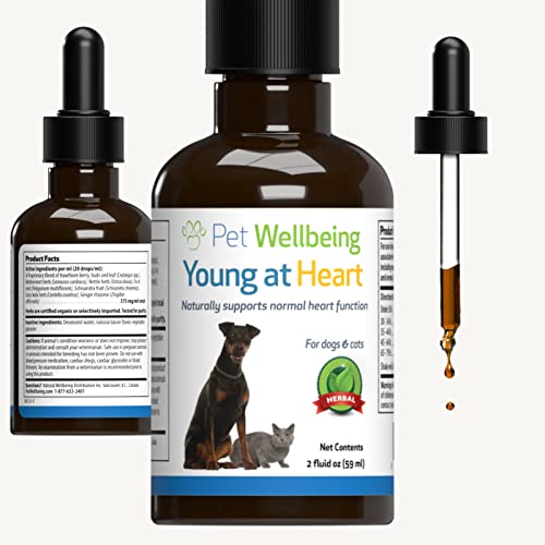 Pet Wellbeing Young at Heart for Cats - Vet-Formulated - Supports Cardiovascular (Heart & Circulatory) Health - Natural Herbal Supplement 2 oz (59 ml)