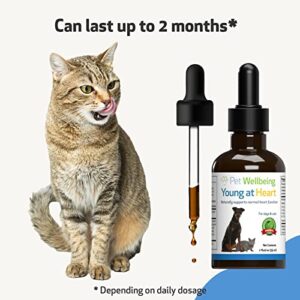 Pet Wellbeing Young at Heart for Cats - Vet-Formulated - Supports Cardiovascular (Heart & Circulatory) Health - Natural Herbal Supplement 2 oz (59 ml)