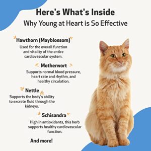 Pet Wellbeing Young at Heart for Cats - Vet-Formulated - Supports Cardiovascular (Heart & Circulatory) Health - Natural Herbal Supplement 2 oz (59 ml)