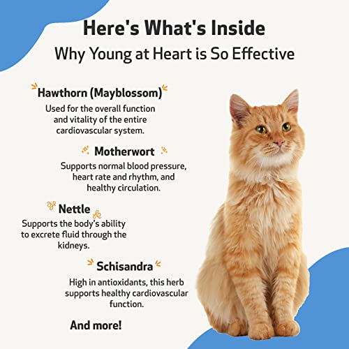 Pet Wellbeing Young at Heart for Cats - Vet-Formulated - Supports Cardiovascular (Heart & Circulatory) Health - Natural Herbal Supplement 2 oz (59 ml)