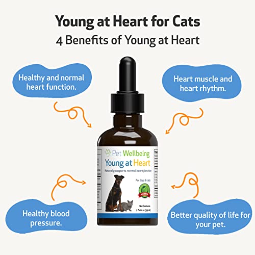 Pet Wellbeing Young at Heart for Cats - Vet-Formulated - Supports Cardiovascular (Heart & Circulatory) Health - Natural Herbal Supplement 2 oz (59 ml)